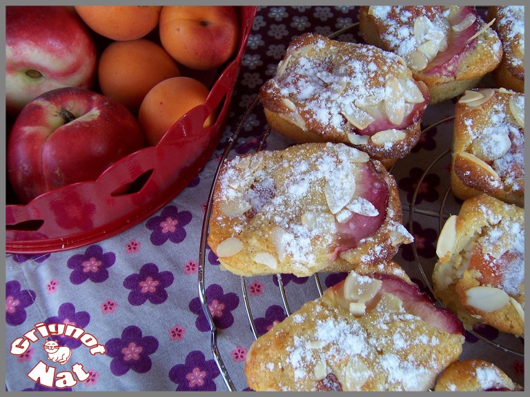 mini cakes abricots et nectarines - Grignot-Nat