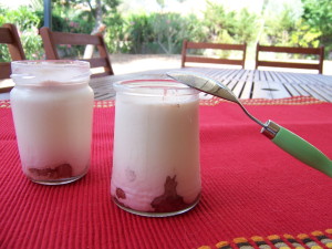 Yaourts aux fraises à la multidélices - Grignot-Nat